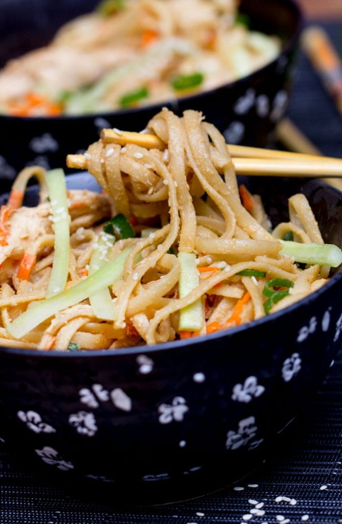 Spicy Peanut Noodles: Chicken or Vegetarian