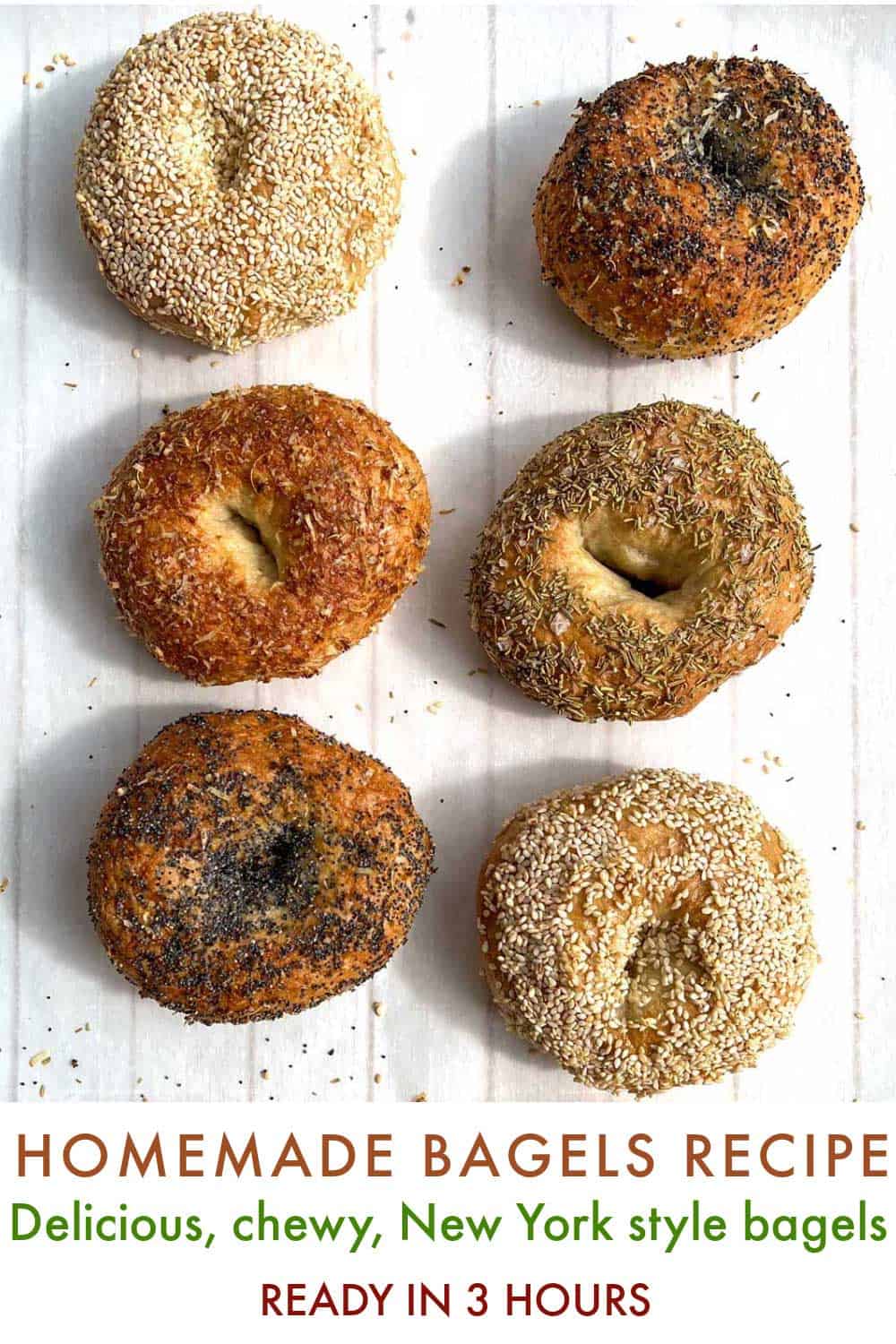 Homemade Bagels Recipe l Panning The Globe