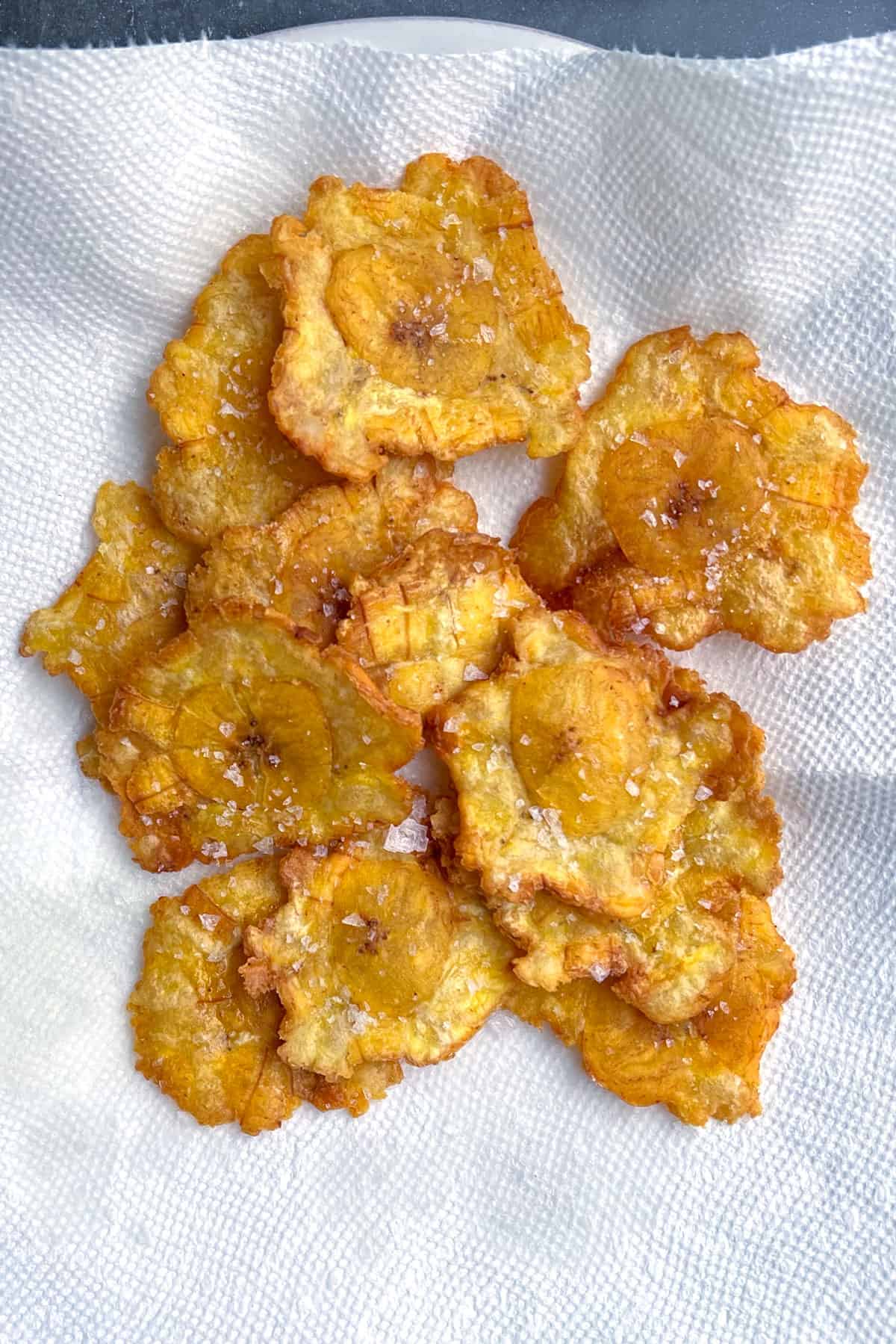 Patacones: Fried Green Plantains l Panning The Globe